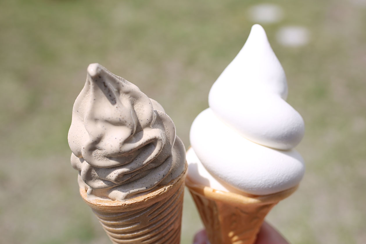 三井アウトレットパーク岡崎の周辺グルメ4選！｜三河のおいしい推しグルメ｜chaoo.jp