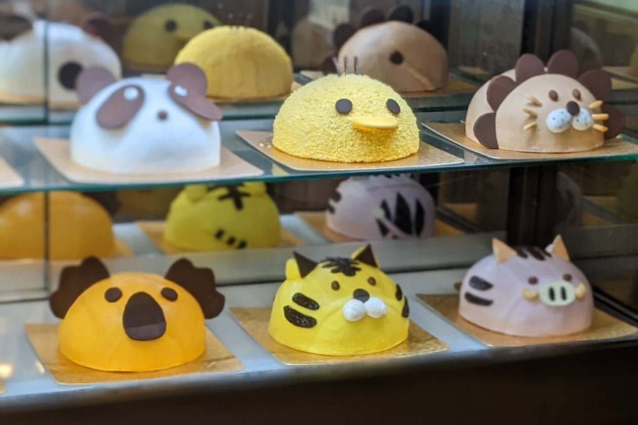 三井アウトレットパーク岡崎の周辺グルメ4選！｜三河のおいしい推しグルメ｜chaoo.jp